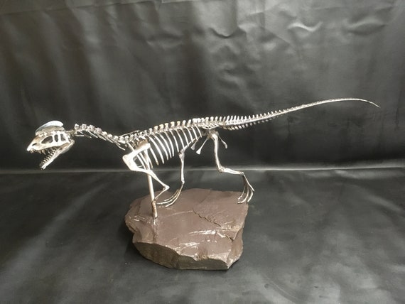 Handmade Welded Dilophosaurus Dinosaur Skeleton Sculpture | Etsy