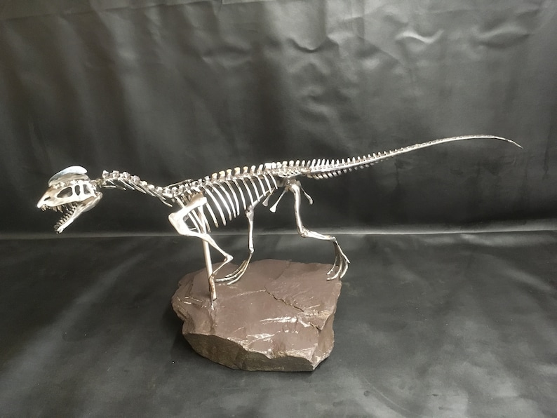 Handmade Welded Dilophosaurus Dinosaur Skeleton Sculpture - Etsy