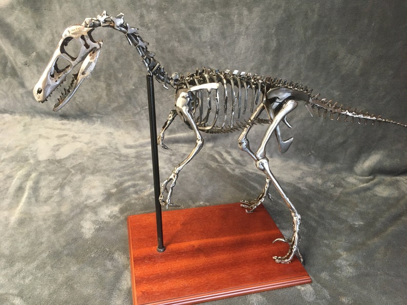 Handmade Welded Velociraptor Skeleton Sculpture - Etsy