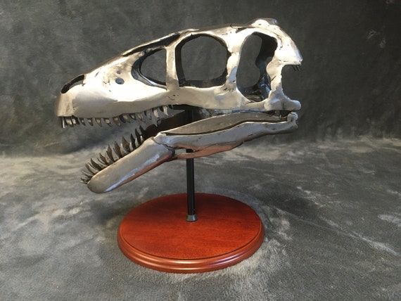 Utahraptor Skull