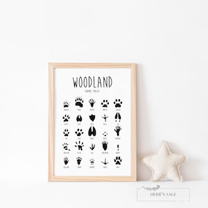 Animal Tracks Print Nursery Decor Woodland Nursery - Etsy