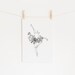 Ballerina Flower Line Art Floral Line Art Ballet Line Art Woman Line ...