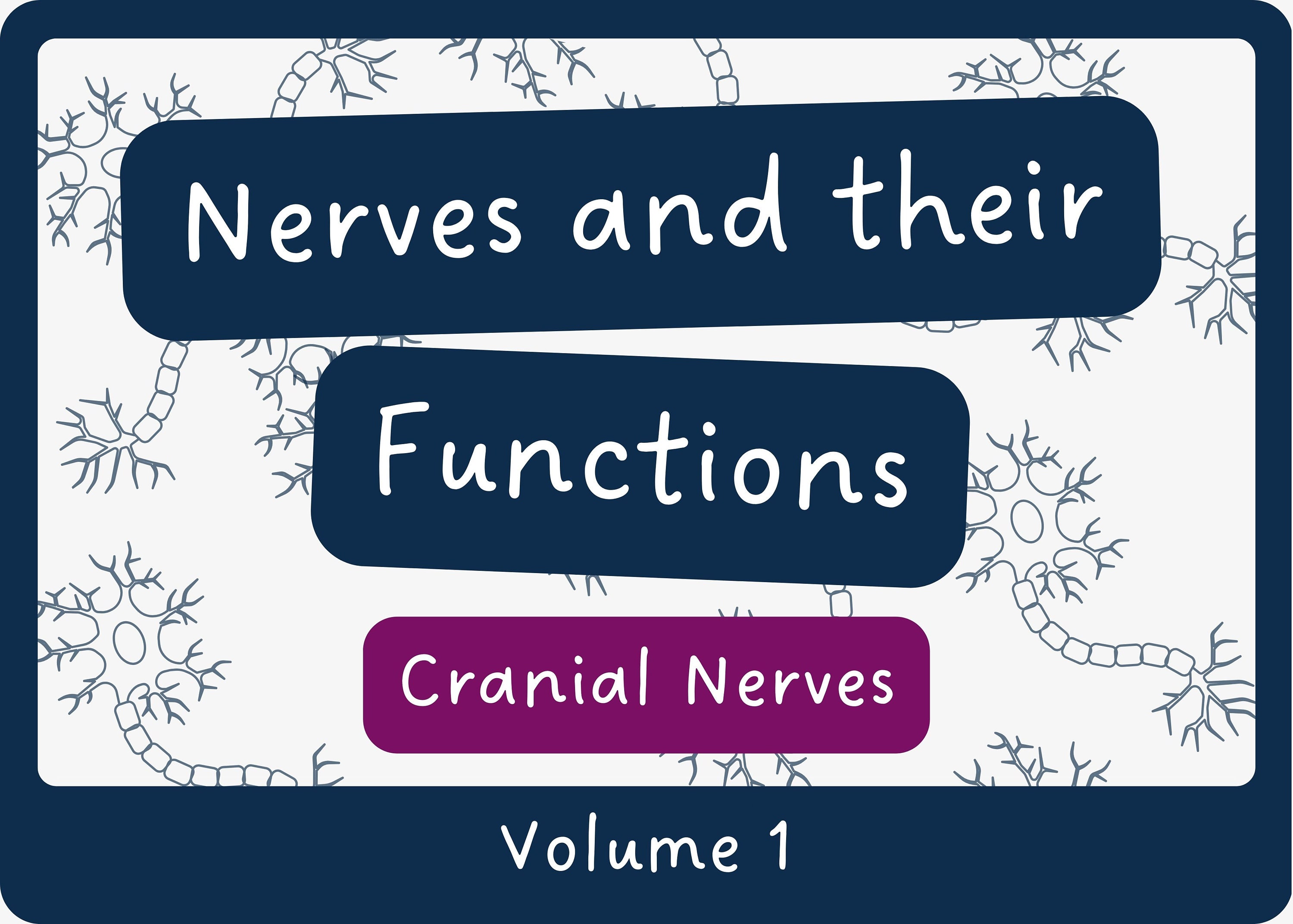 Cranial Nerve Revision Flashcards Card Game Medical Revision 140 Cards ...