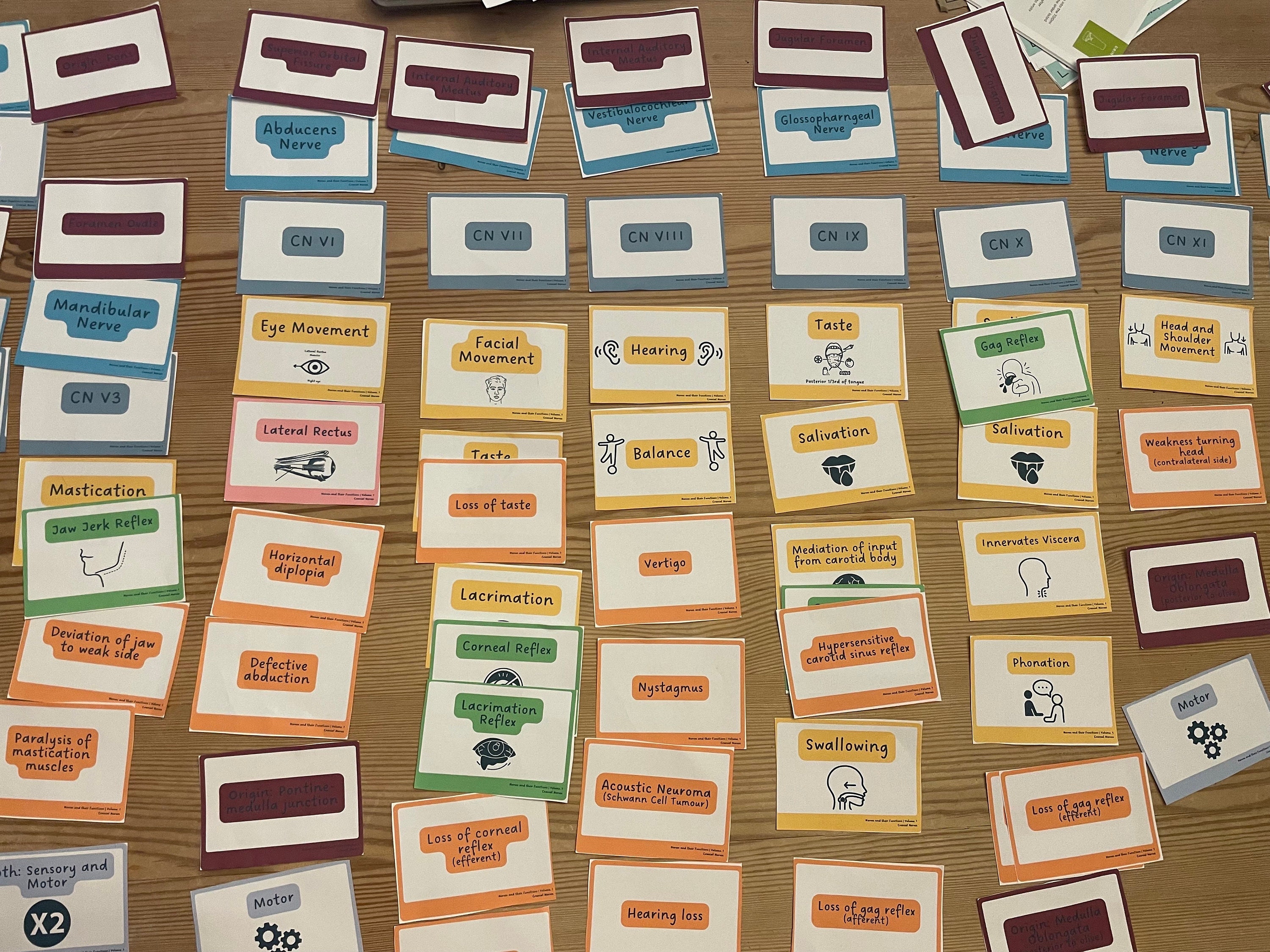 Cranial Nerve Revision Flashcards Card Game Medical Revision 140 Cards ...