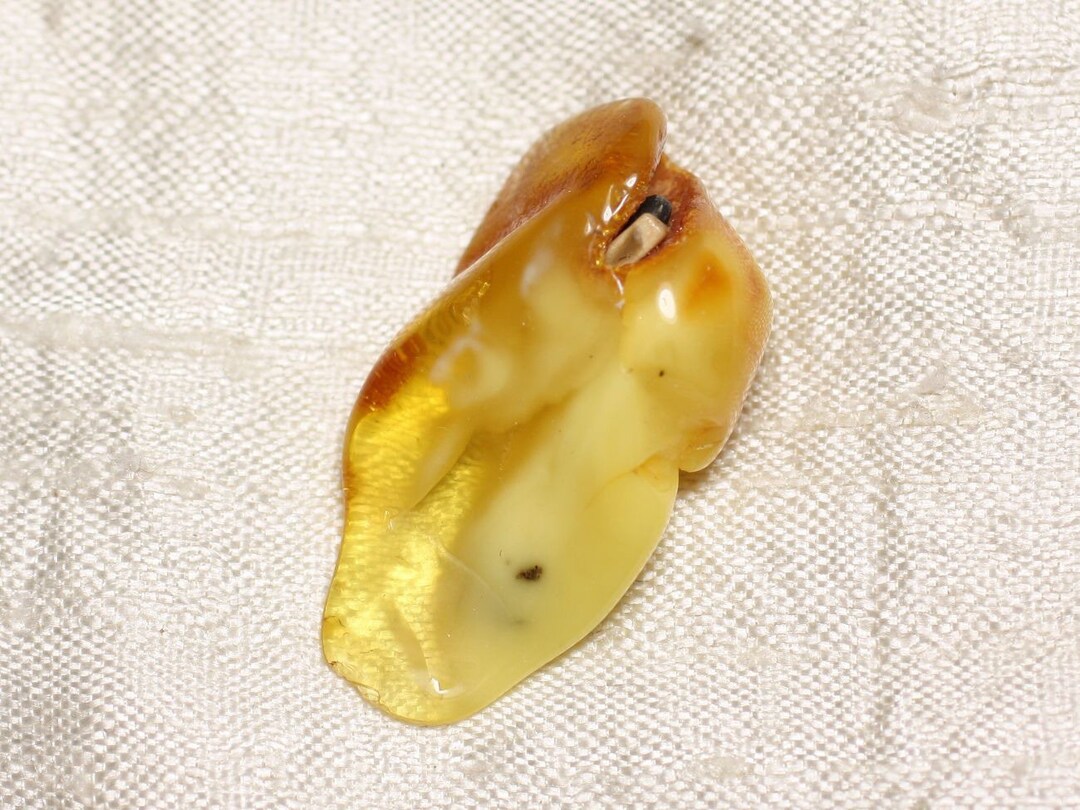 N20 Natural Amber Tumbled Stone Piece 31x19x10mm 4558550089069 - Etsy