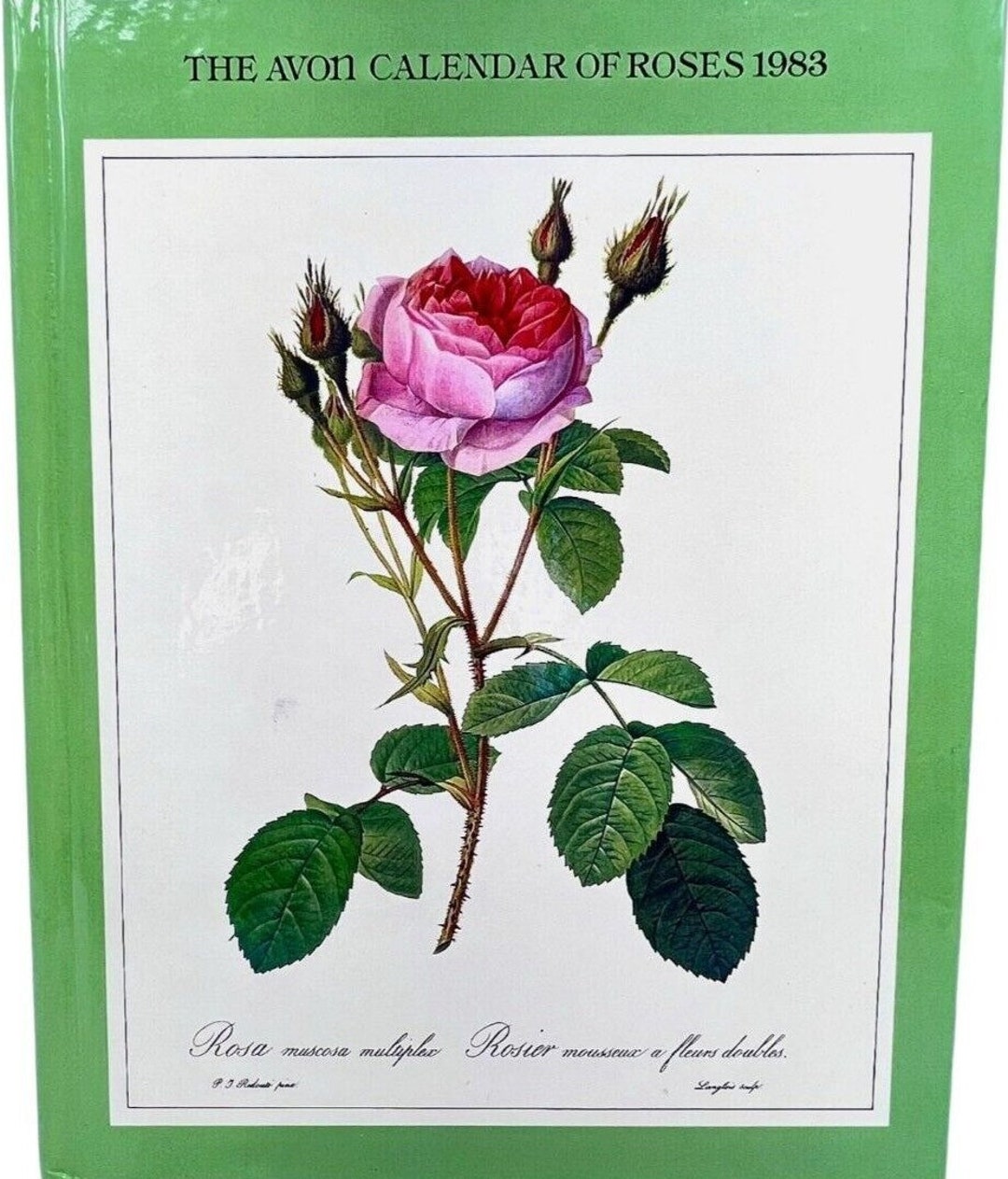 The Avon Calendar of Roses 1983 Hardcover Book Ariel Press Vintage ...