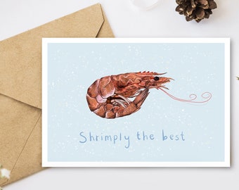 Shrimp Birthday Card | Etsy