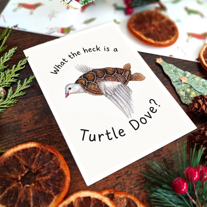Turtle Dove Christmas Card - Funny Festive Design - Etsy