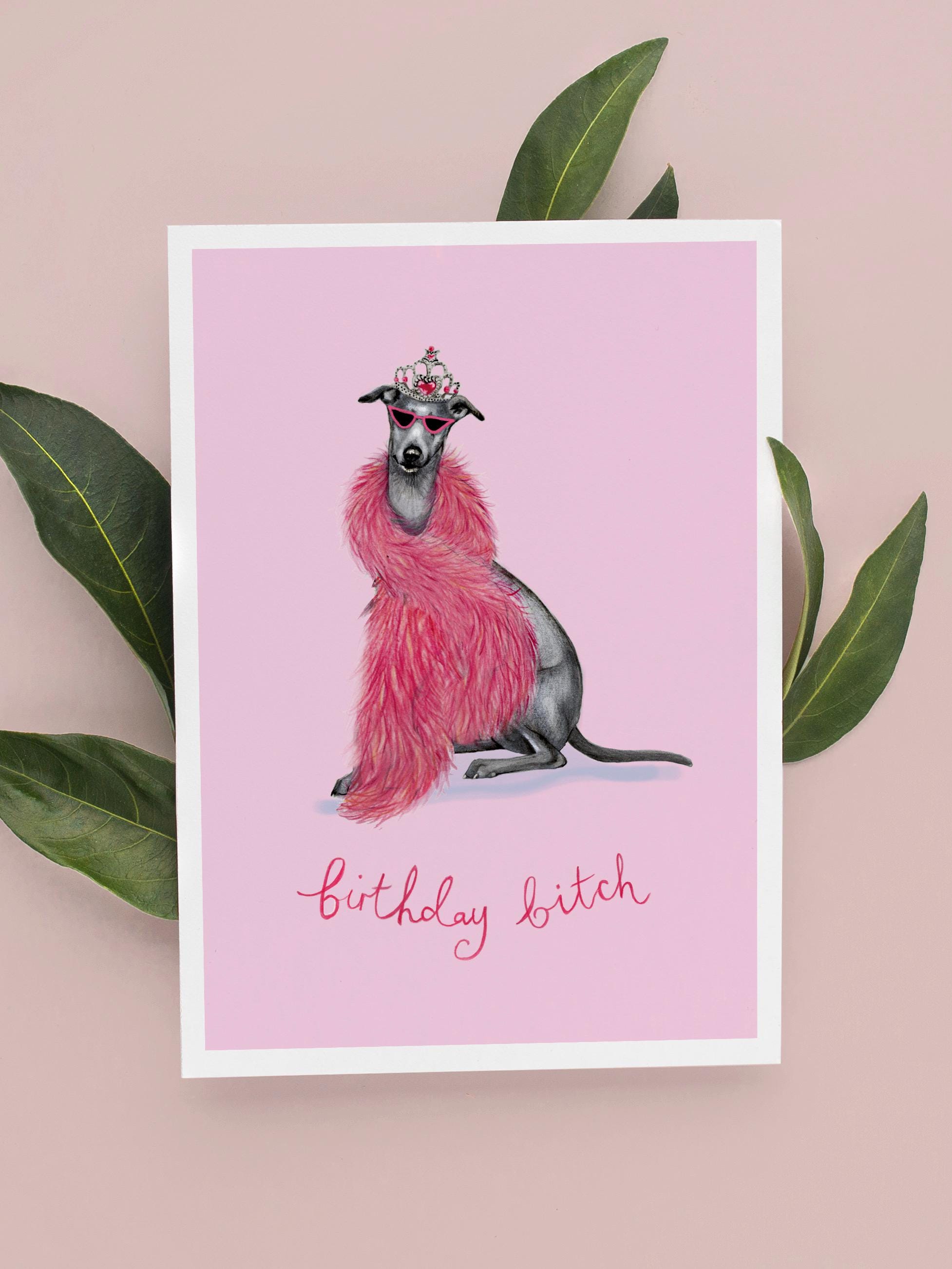Birthday Bitch Card, Funny Birthday Card, Iggy Birthday Cards, Whippet ...