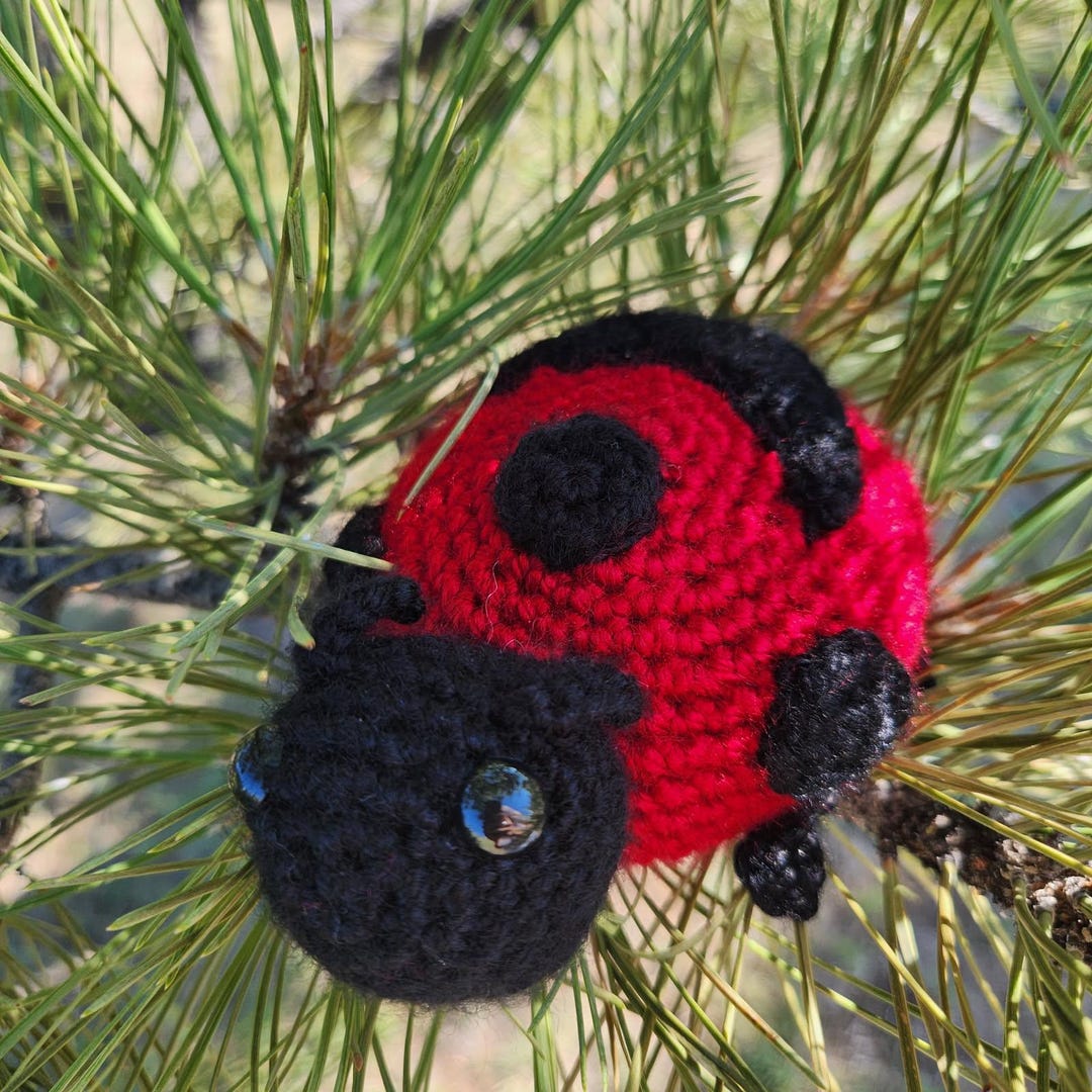 Pattern**palia Inspired Ladybug Plushies Crochet - Etsy