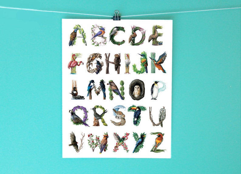 Bird Alphabet Illustrated Poster Print / A-Z Bird Alphabet Art | Etsy