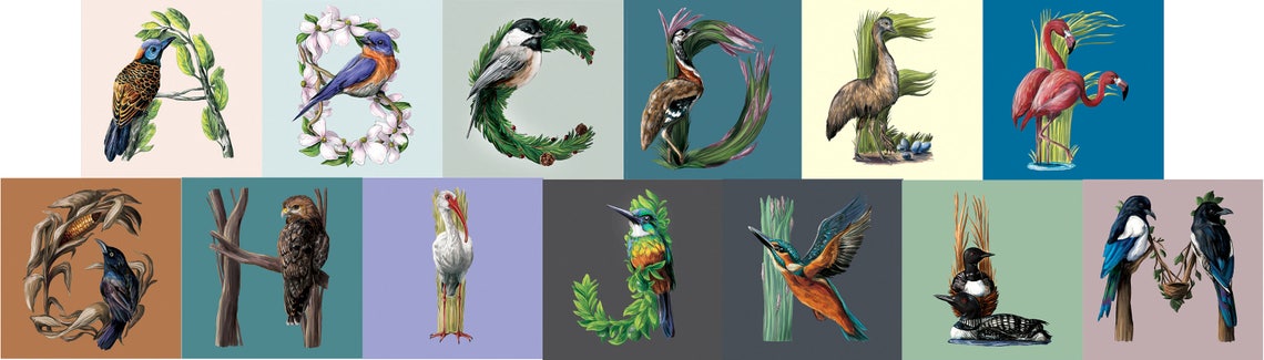 Bird Alphabet Letter Print / Bird Alphabet Art Print / Hand | Etsy
