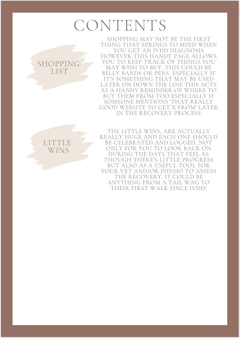 IVDD Organiser Printable PDF - Etsy