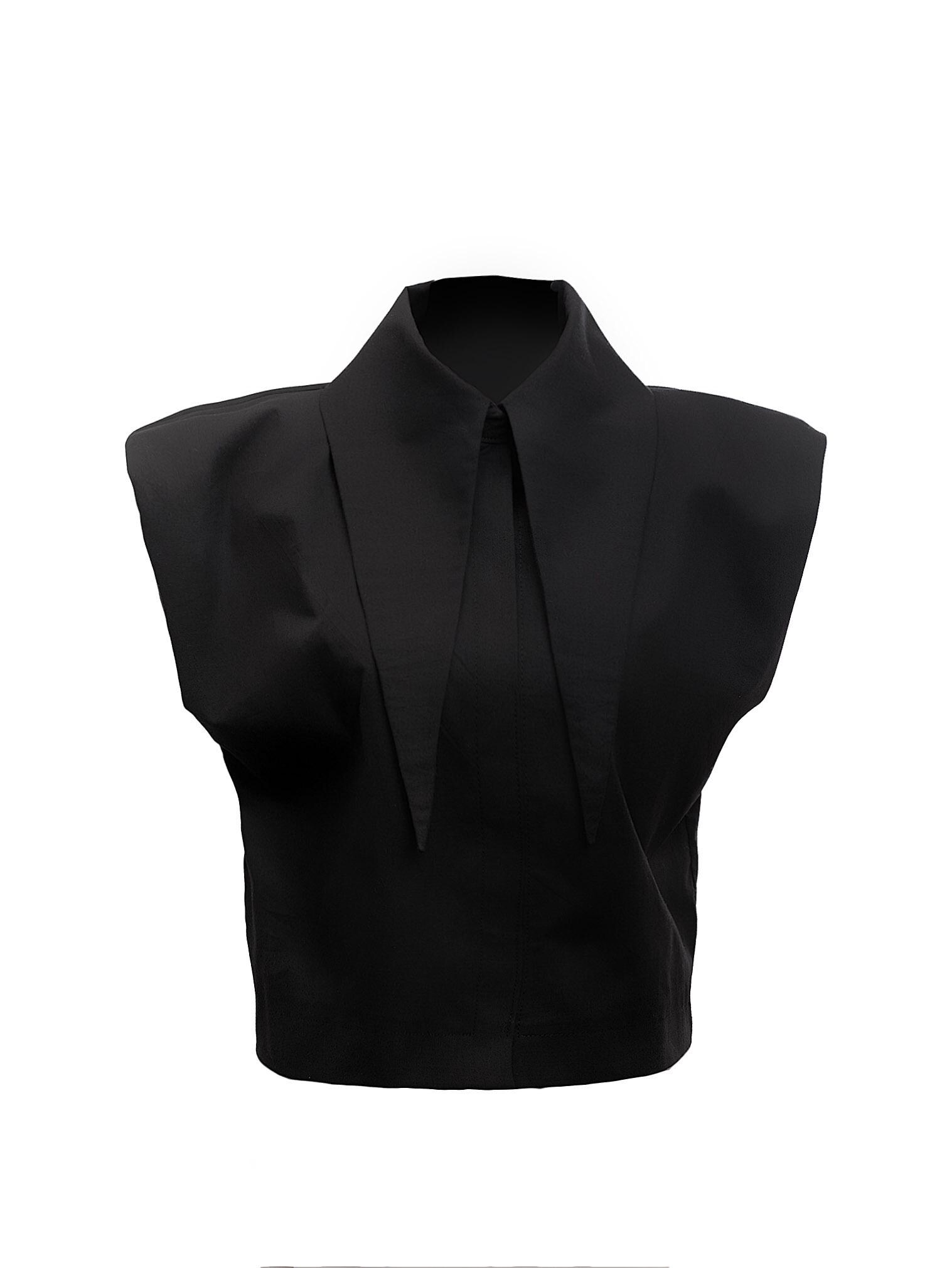 Large Pointy Collar Stylish Crop Top, Elegant Short Sleeve Shirt ...