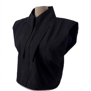 Large Pointy Collar Stylish Crop Top, Elegant Short Sleeve Shirt ...