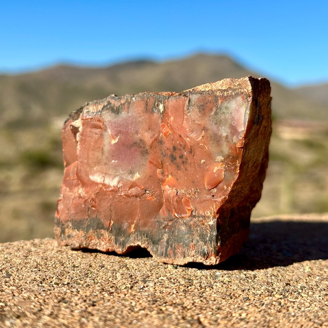 Raw Rainbow Petrified Wood, Arizona Fossil Specimen, Agatized Wood ...