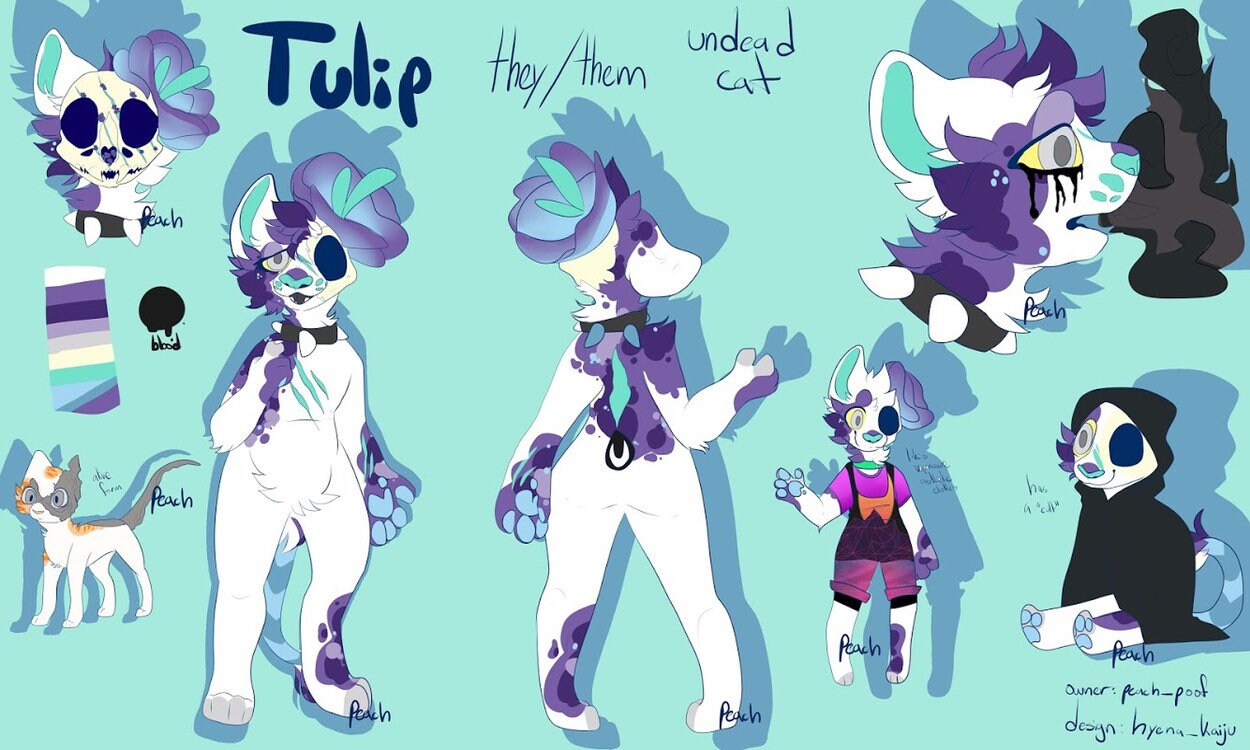 Complex furry reference sheet | Etsy