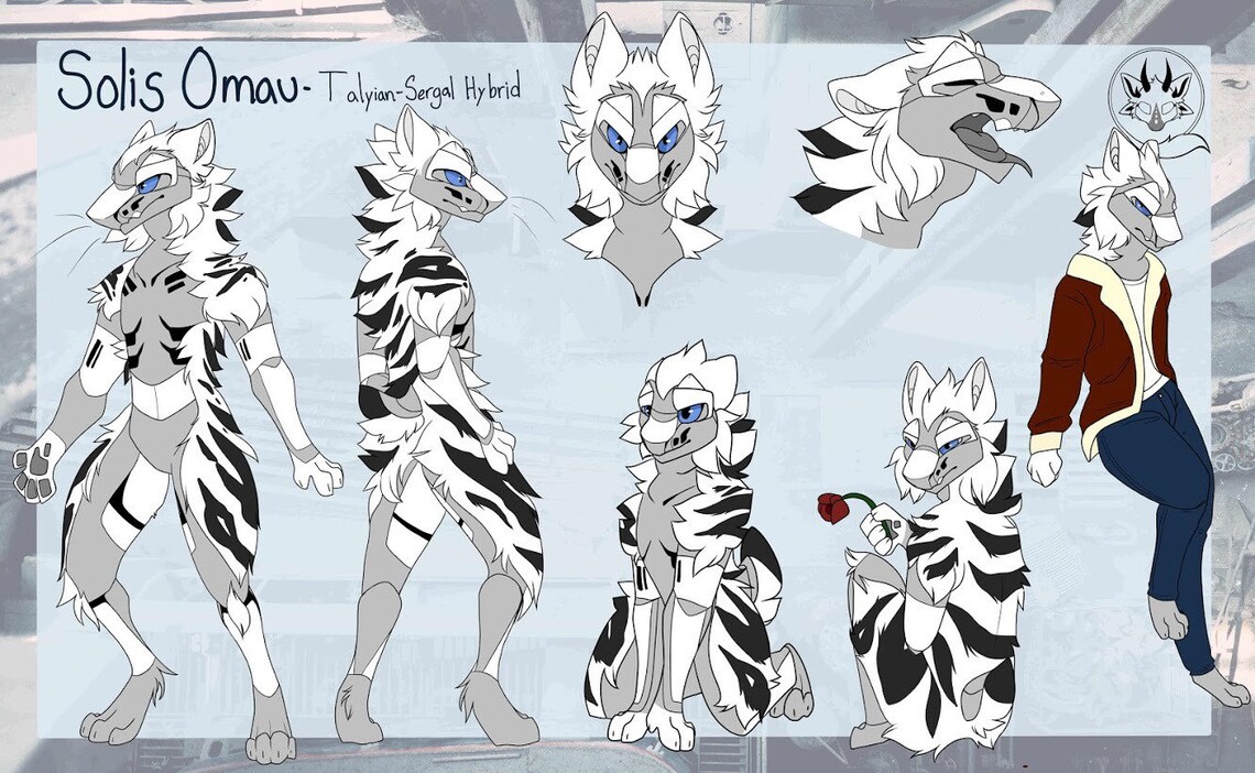 Complex furry reference sheet | Etsy