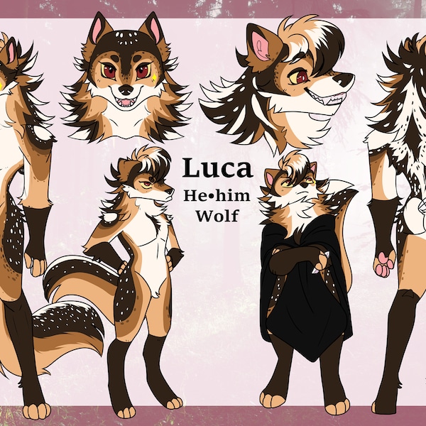 Complex Reference Sheet - Etsy