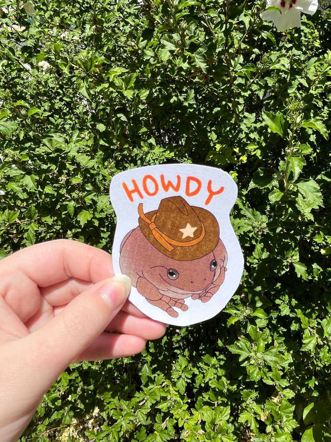 Howdy Frog Sticker - Etsy