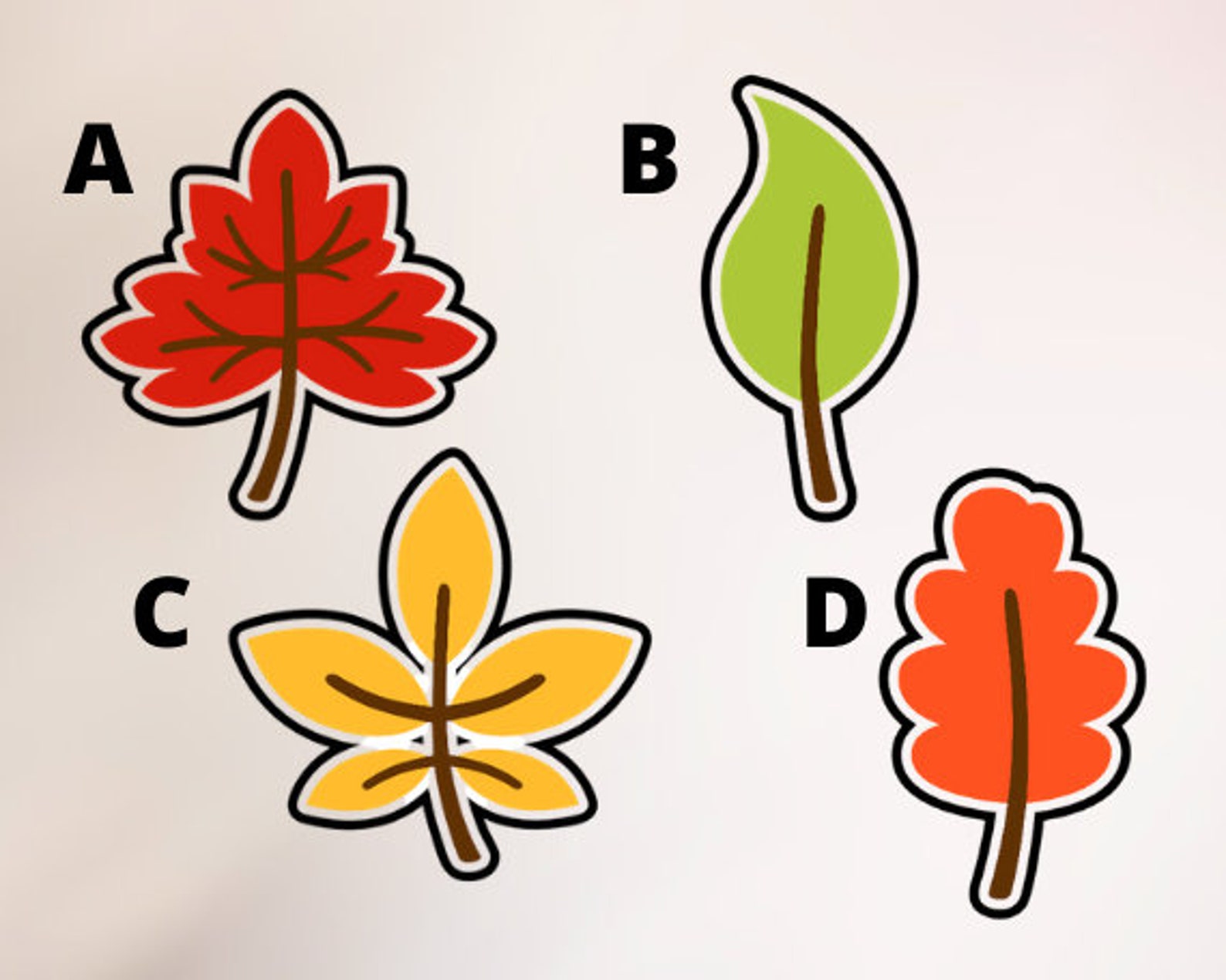 Fall, Autumn Leaves Cookie Cutters, Fondant and Playdoh Cutters Too ...