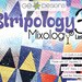 Stripology 3 Mixology Last Call Quilt Pattern Book With Cocktail ...