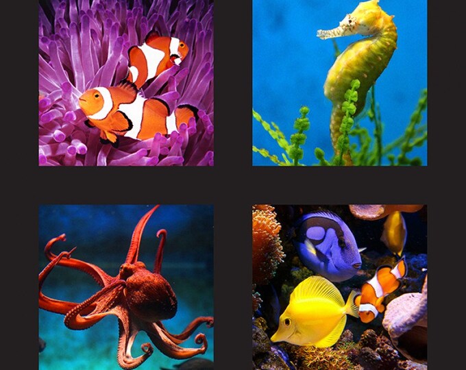 Things Above Panel 35" X 44" Eggshell 45618 11 by Fancy That Design ...