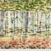 Bouja Quilt Pattern From Aardvark Quilts - Etsy