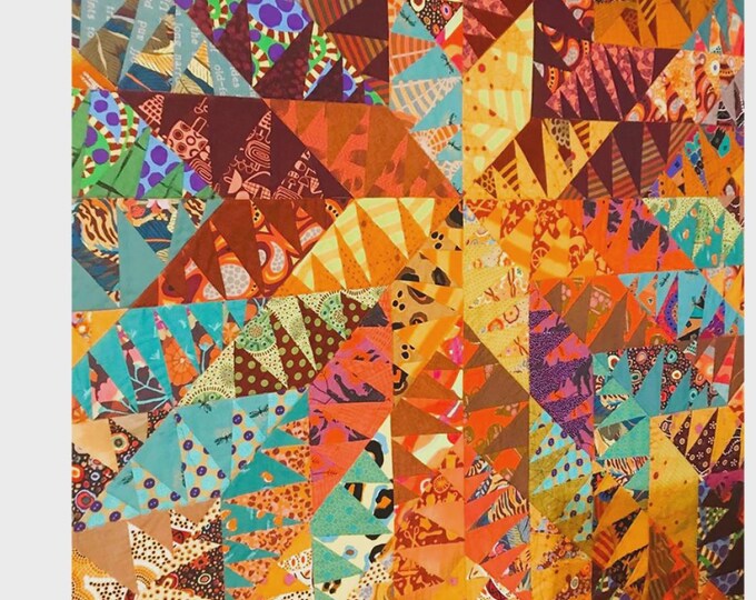 Supernova Quilt Pattern by Pamela Goecke Dinndorf for Aardvark Quilts ...