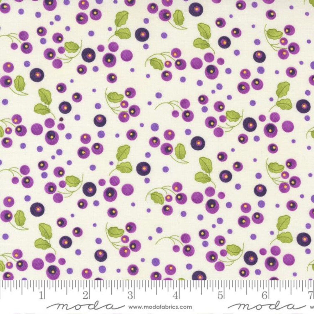 Pansy's Posies Fabric Designed by Robin Pickens for Moda 48723 11 - Etsy