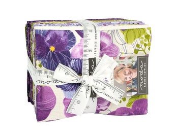 Beanstalk Quilt Quilting Pattern From Robin Pickens Quilt - Etsy