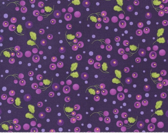 Pansy's Posies Fabric Designed by Robin Pickens for Moda 48723 15 - Etsy