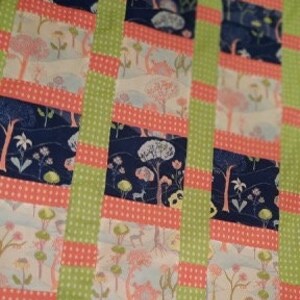 Exclusive Quilt Kit Featuring Fandango Quilt Pattern and Garden Party ...