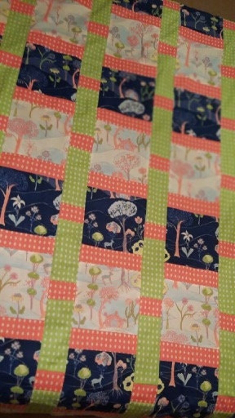 Exclusive Quilt Kit Featuring Fandango Quilt Pattern and Garden Party ...