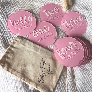 Acrylic Baby Milestone Discs: Hand Painted, Monthly Milestones - Etsy