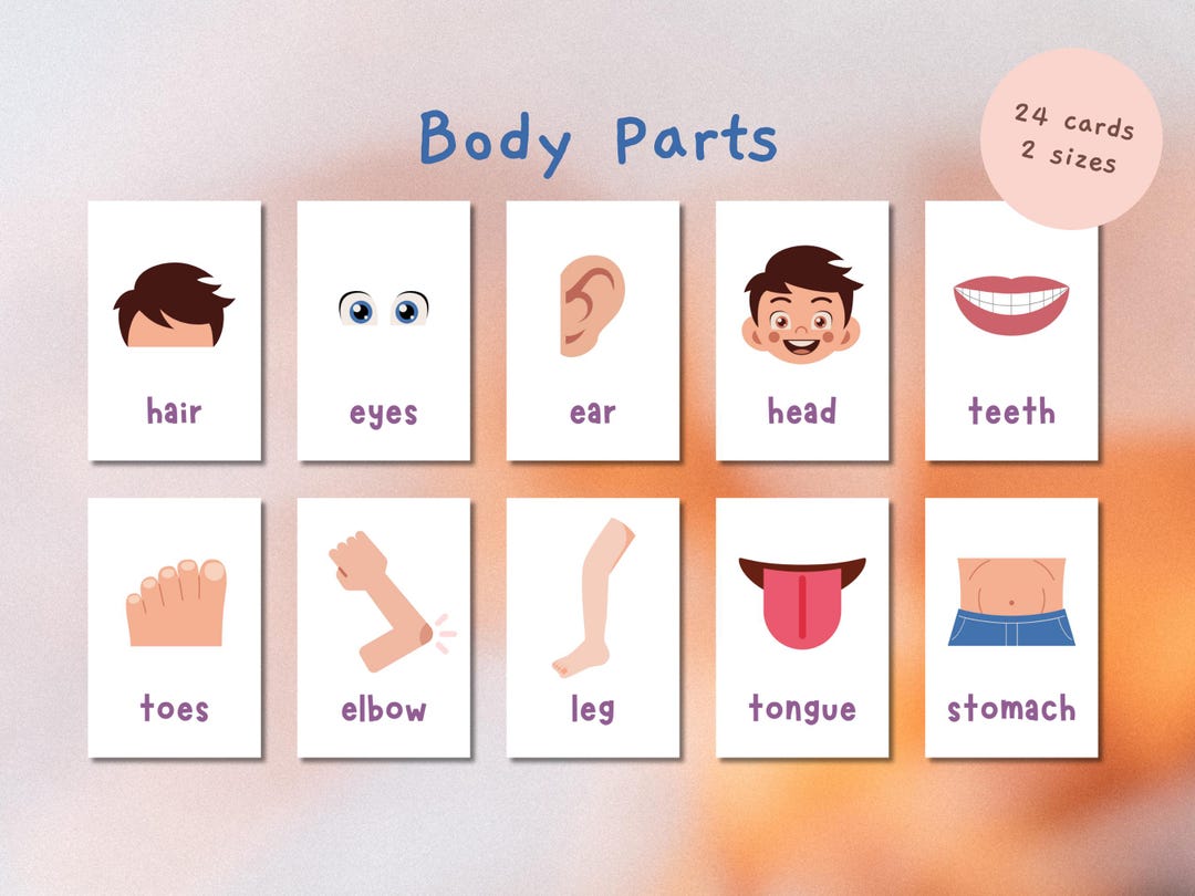 24 Body Parts Flash Card | Educative | Home Learning | Toddler ...