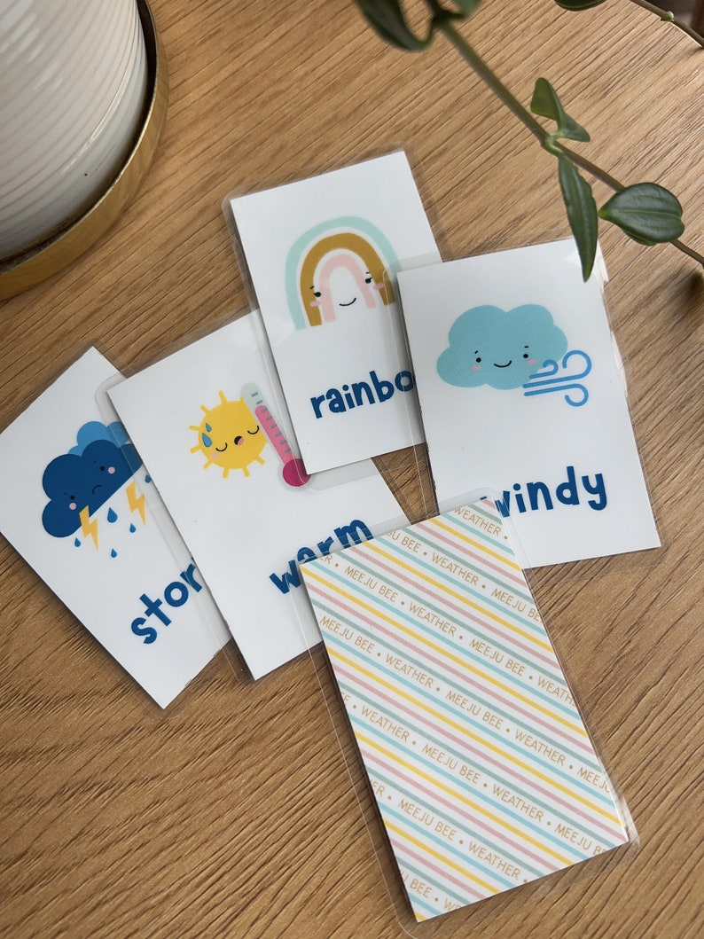12 Educative Weather Cards | Elegant Design | Montessori Flashcards ...