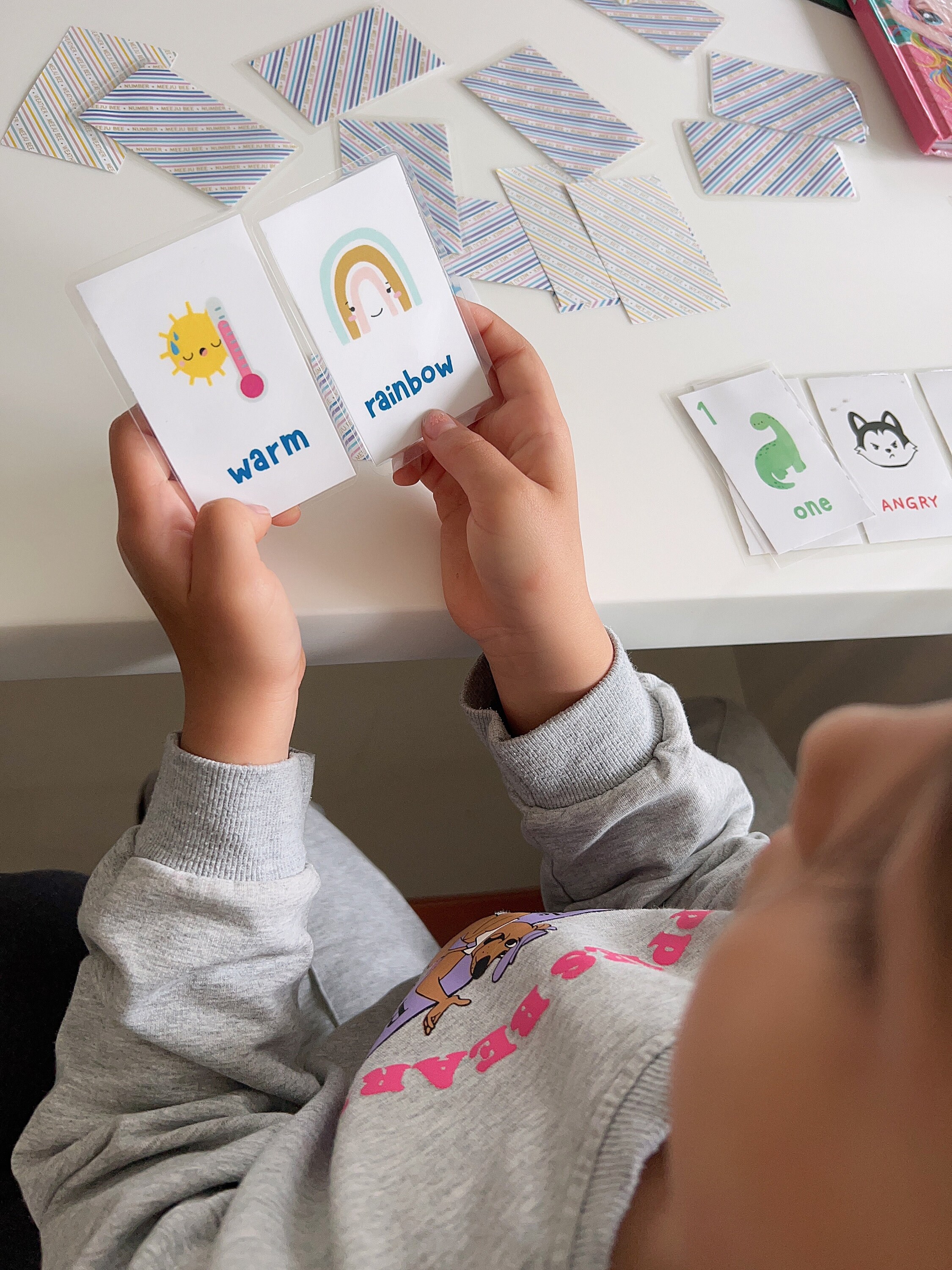 12 Educative Weather Cards | Elegant Design | Montessori Flashcards ...