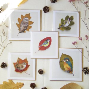 Box of 5 Greetings Cards of Pressed Leaf Nature Paintings. Butterflies ...