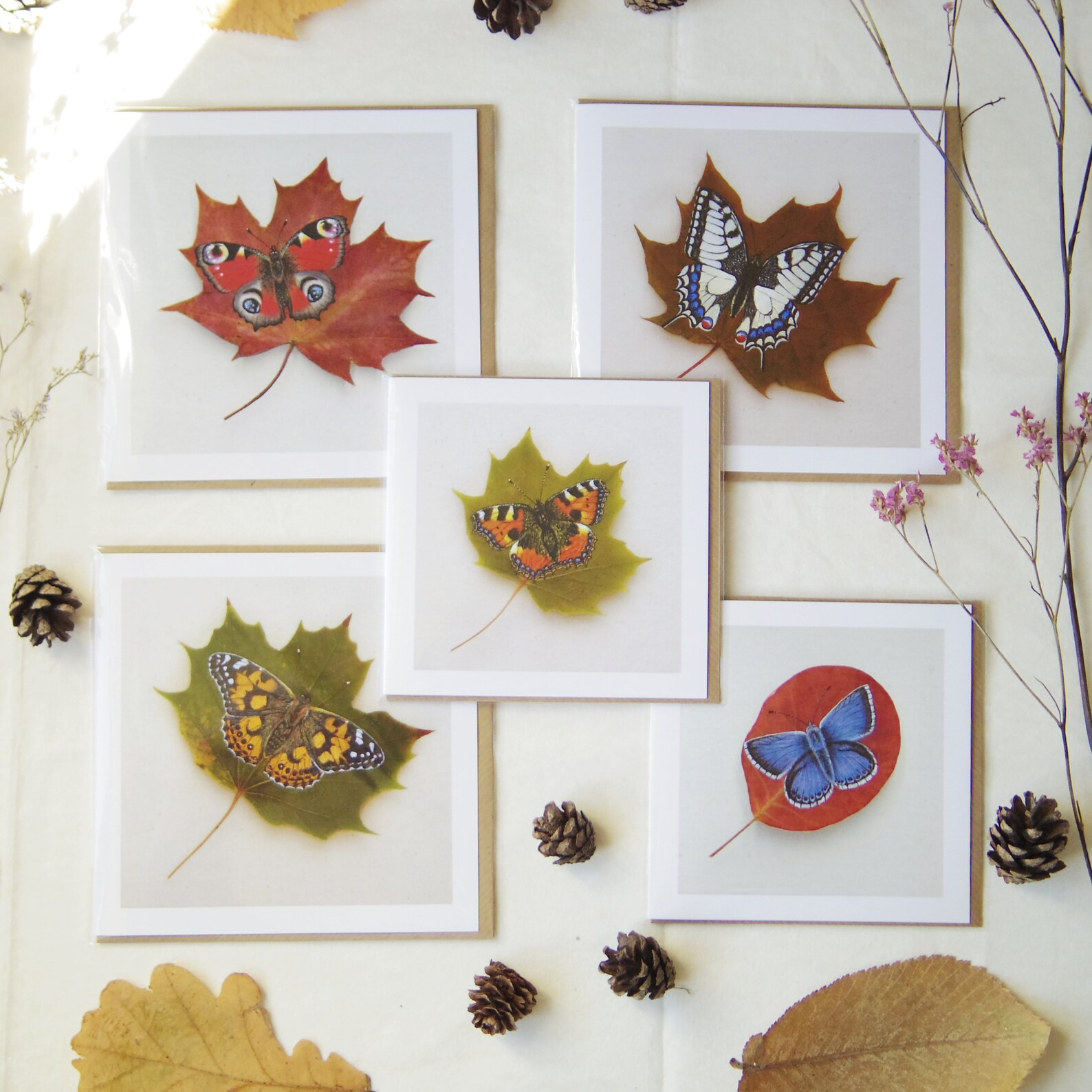 Box of 5 Greetings Cards of Pressed Leaf Nature Paintings. Butterflies ...