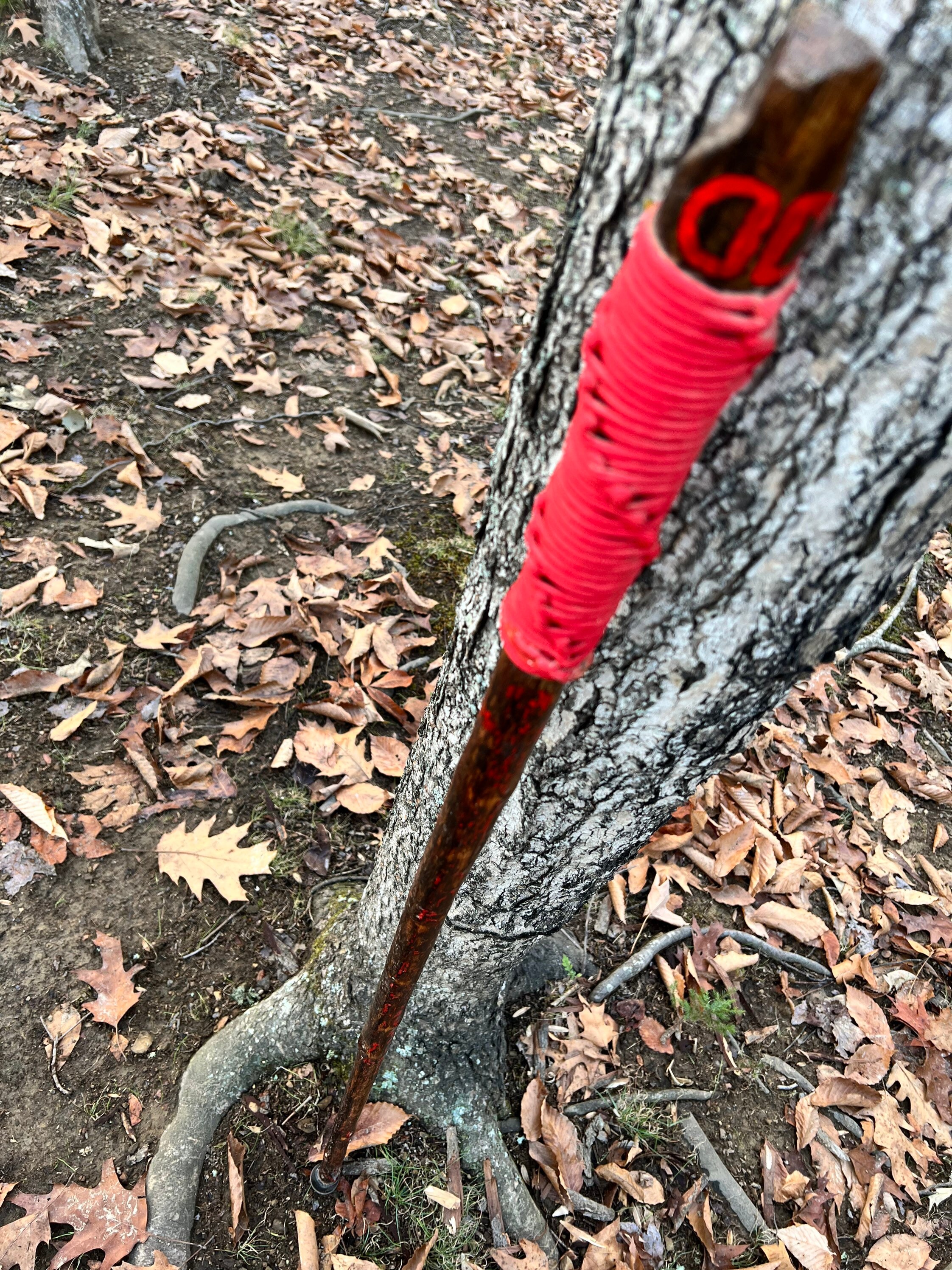 Red Flake Beaver Chewed Walking Stick - Etsy