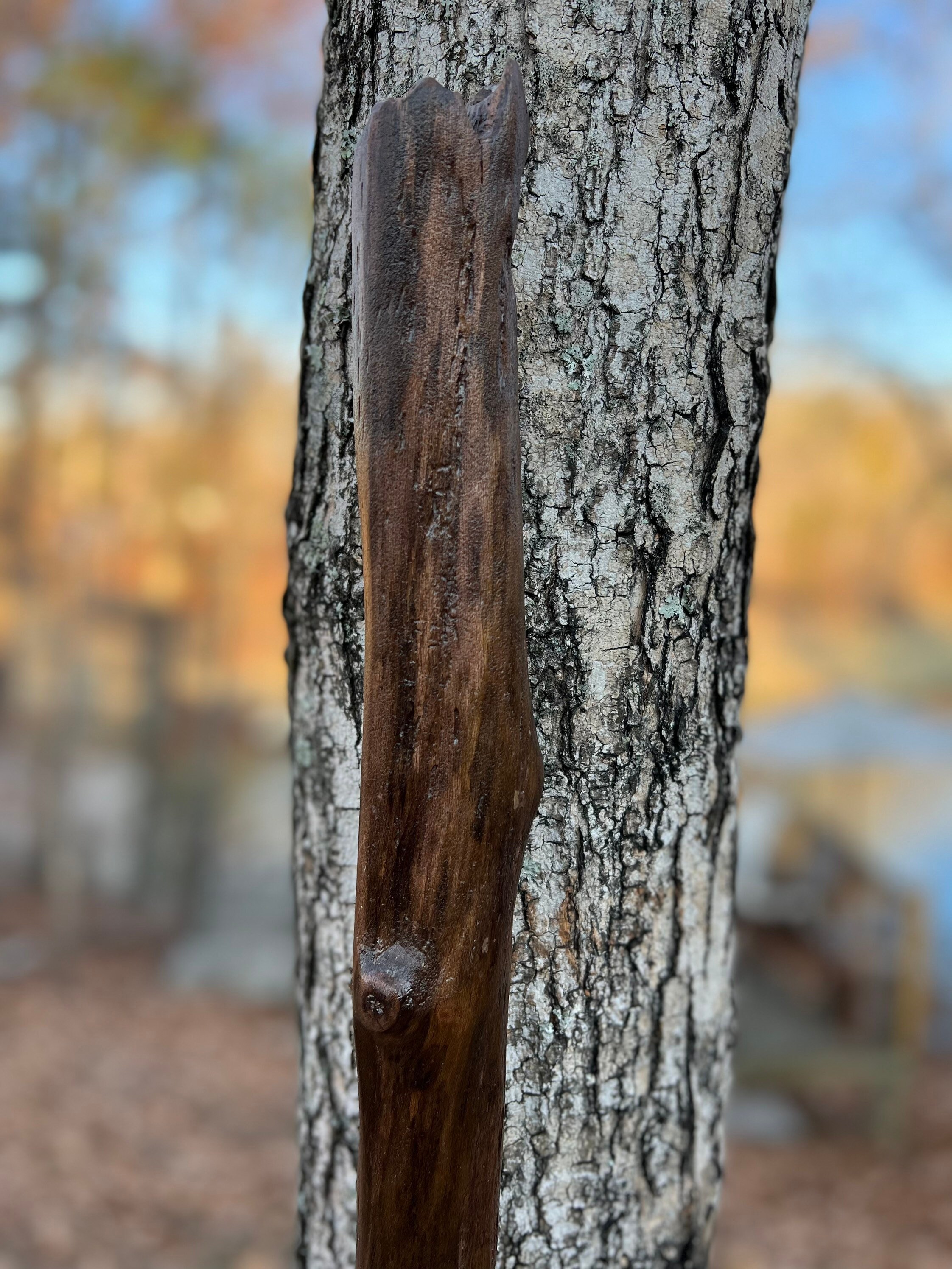 Traditional Wizard Staff for Cosplay LARP Renaissance Faire - Etsy