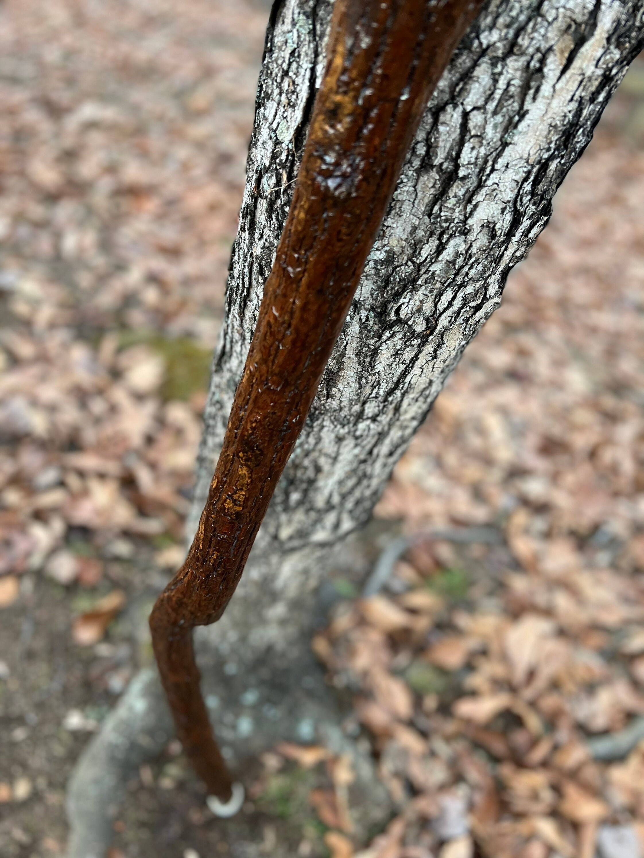 Diamond Mages Staff - Etsy