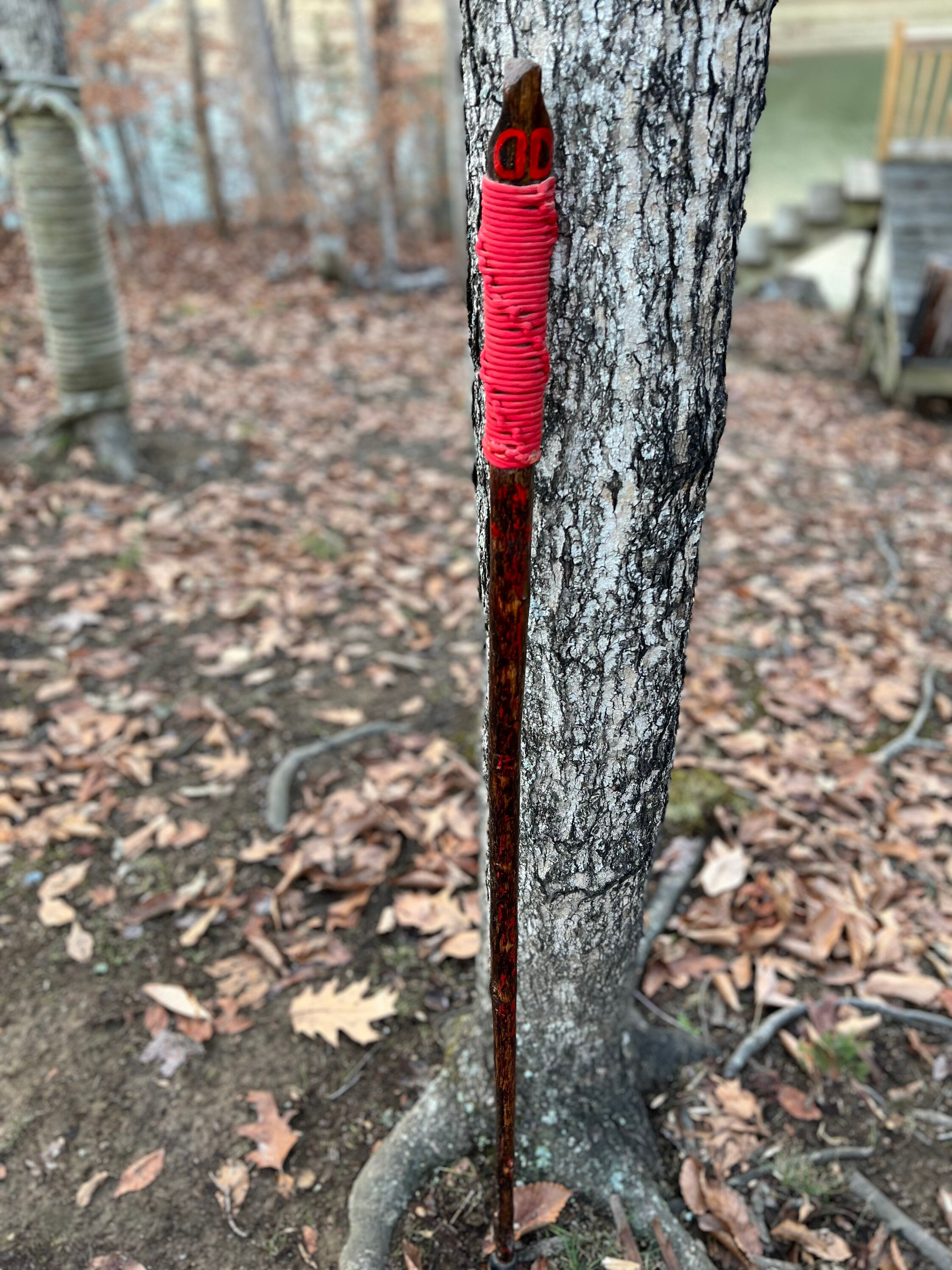 Red Flake Beaver Chewed Walking Stick - Etsy