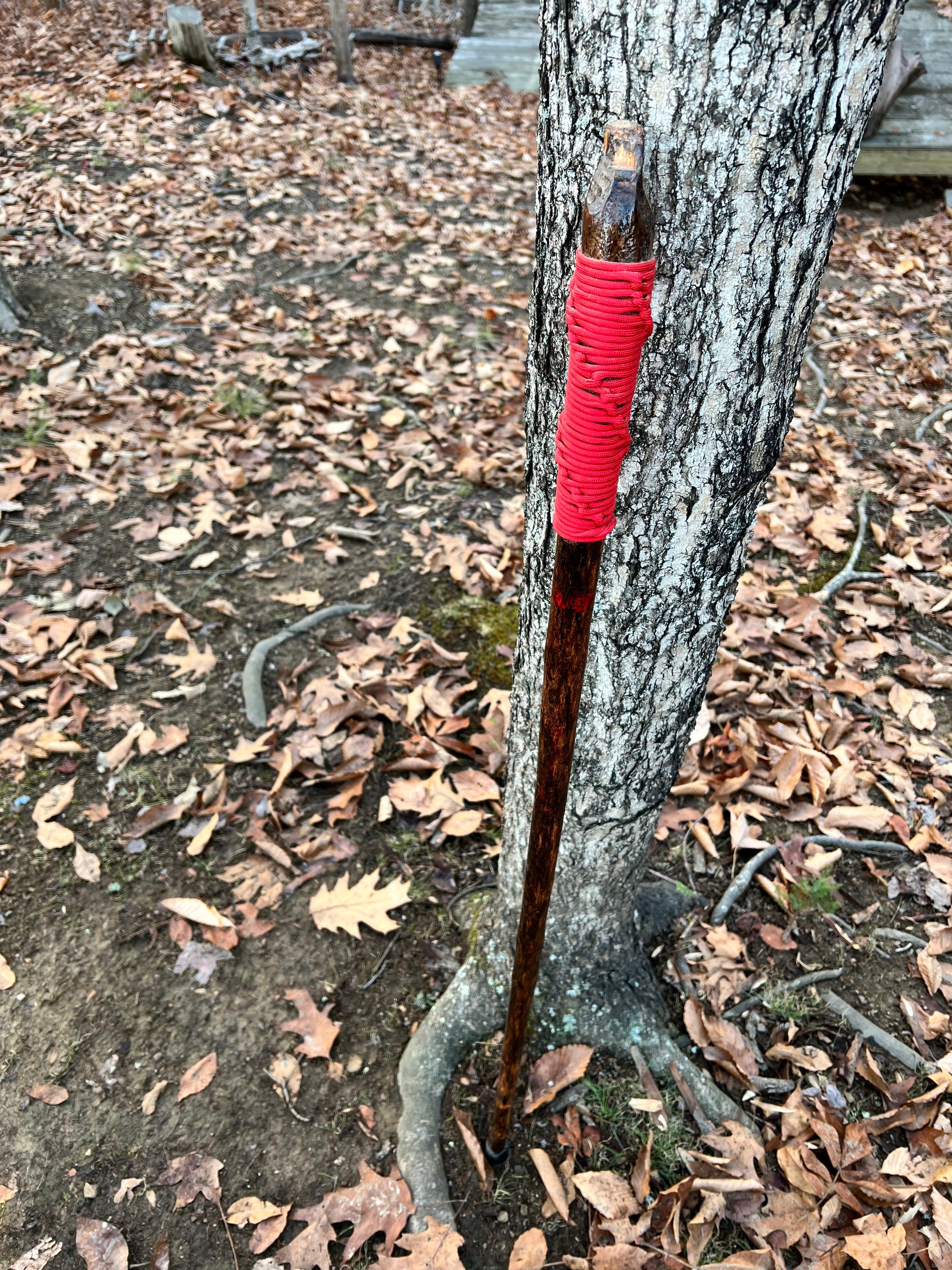 Red Flake Beaver Chewed Walking Stick - Etsy