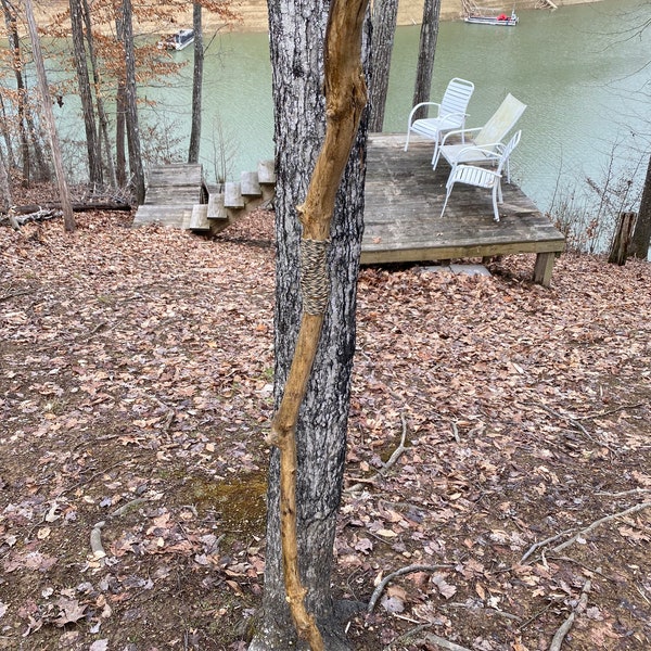 Diamond Willow - Etsy