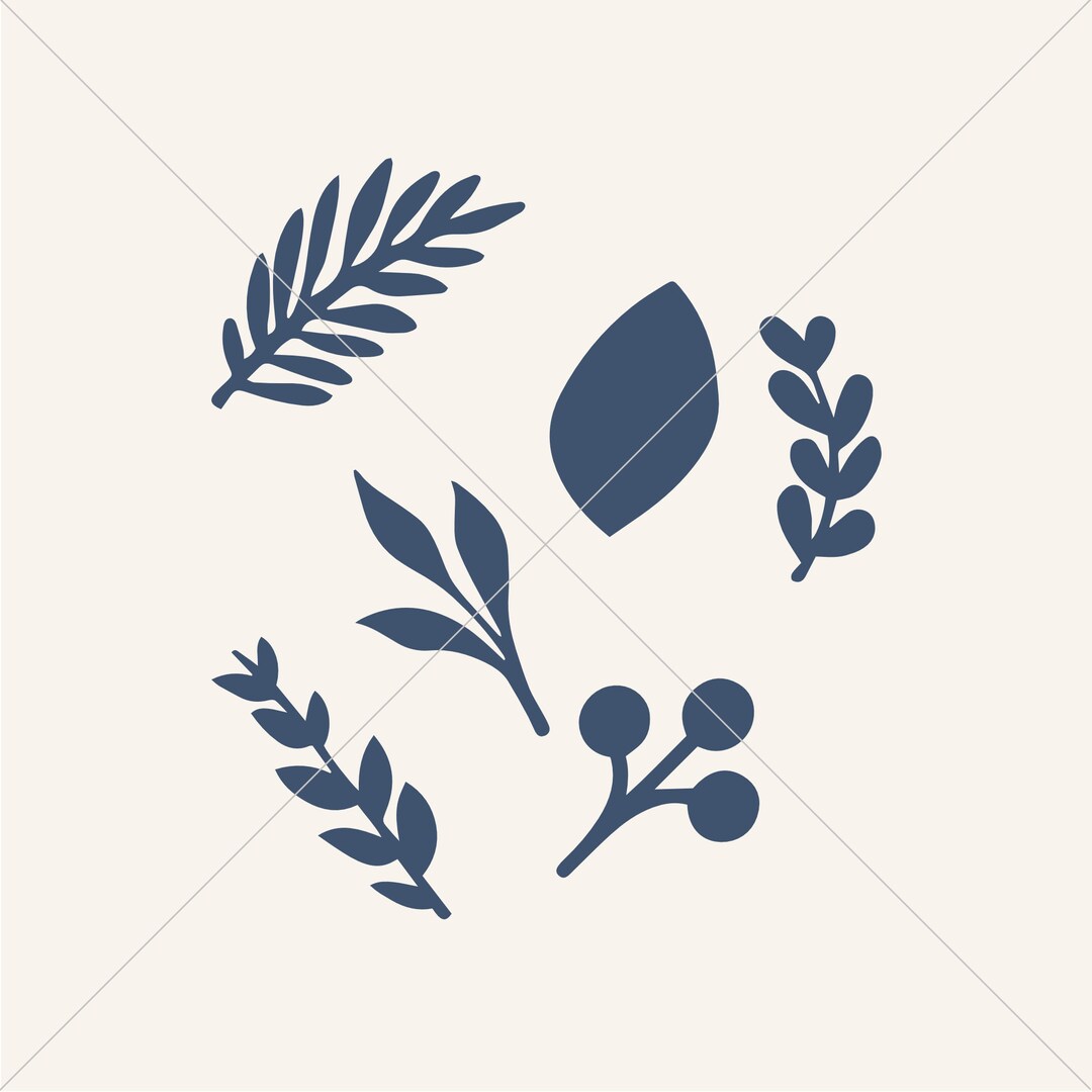Plant Leaf Twig SVG / Set of 6 Vectors / Cut File for Silhouette or ...