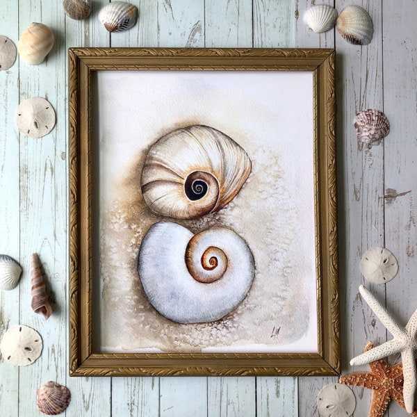Watercolor Shell - Etsy