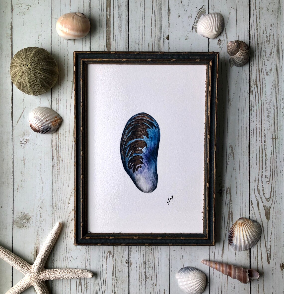 Blue Mussel Art Print: Coastal Watercolor Painting (5x7 Unframed) - Etsy