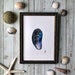 Blue Mussel Art Print: Coastal Watercolor Painting (5x7 Unframed) - Etsy